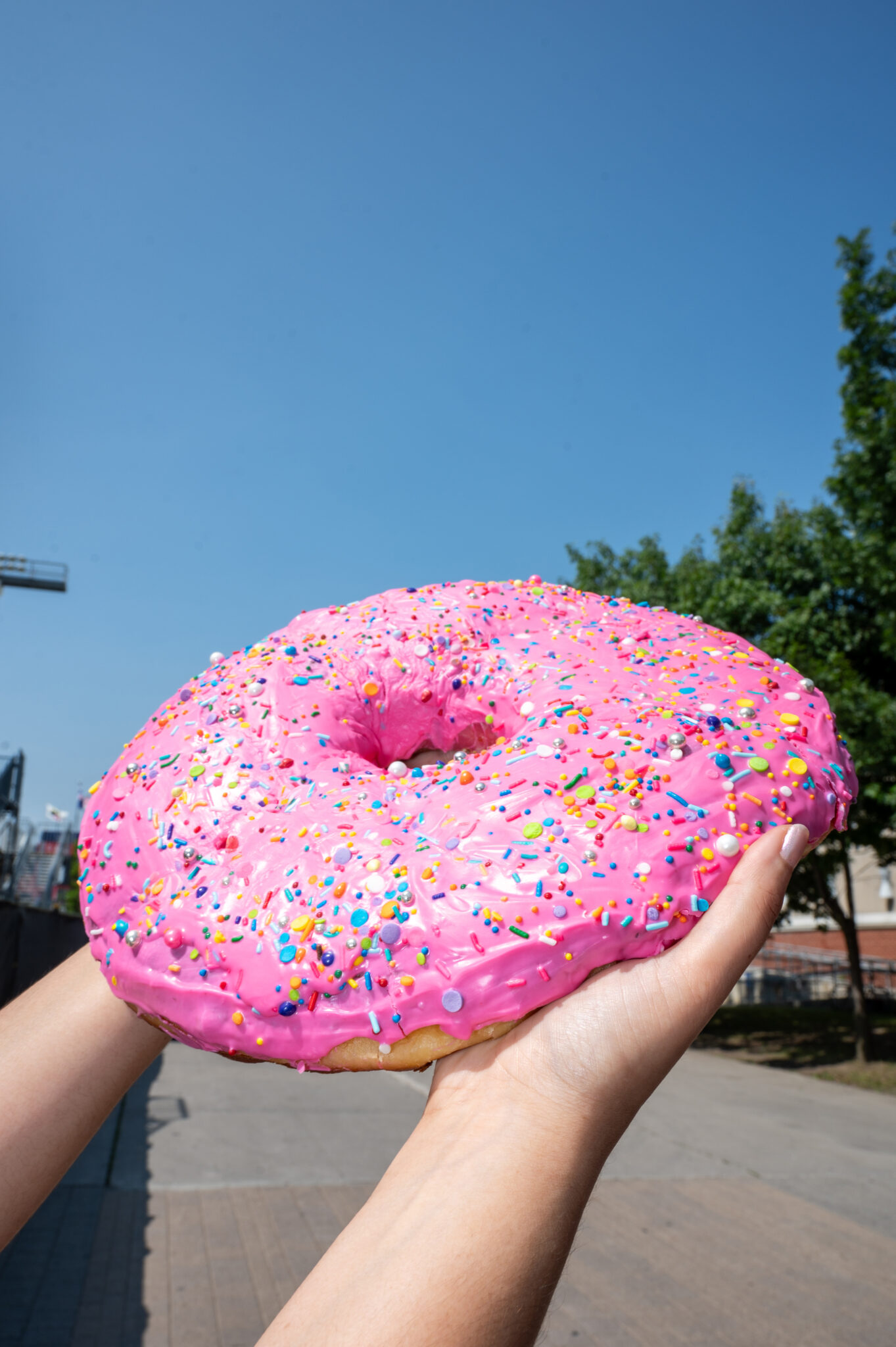 Media Library – The Ex